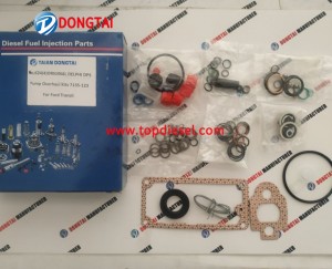 China NO.624(4) ORIGINAL DELPHI DPS Pump Overhaul Kits 7135-123 For ...